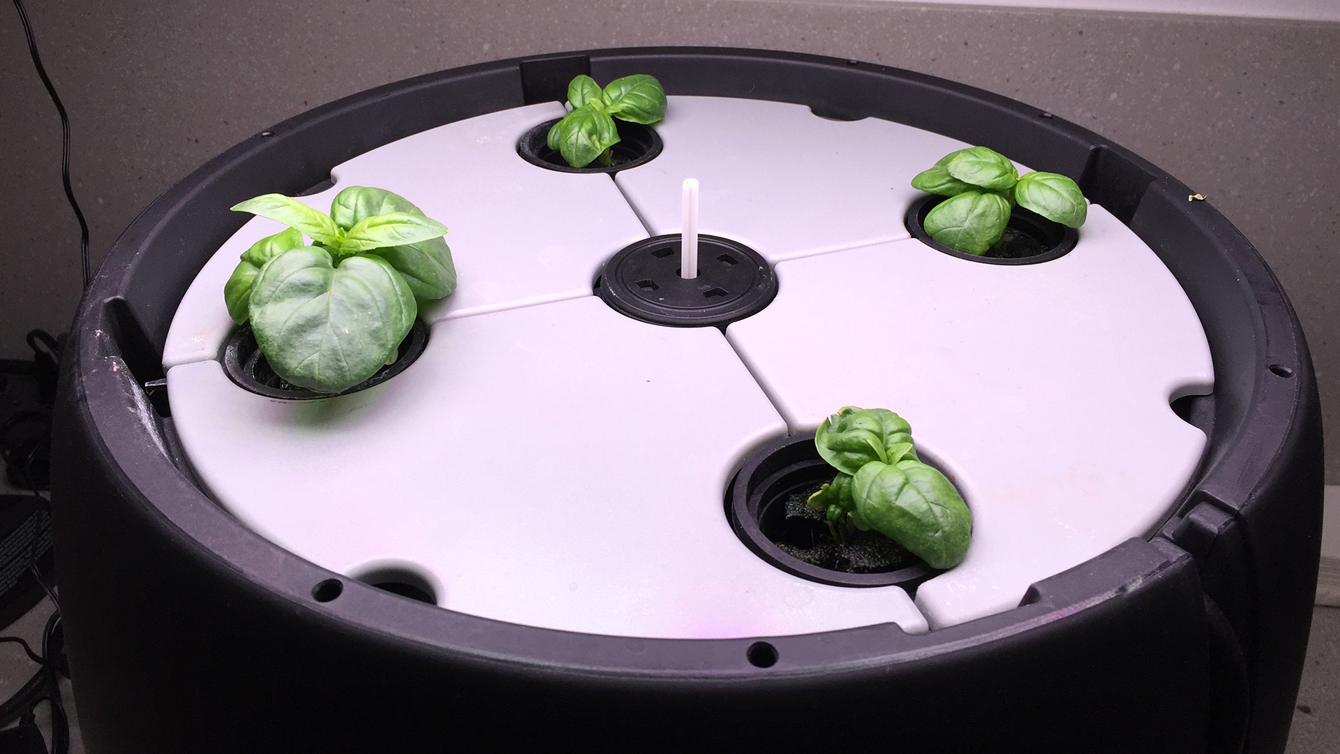Scotts Miracle-Gro Indoor Grow System - Priority Designs