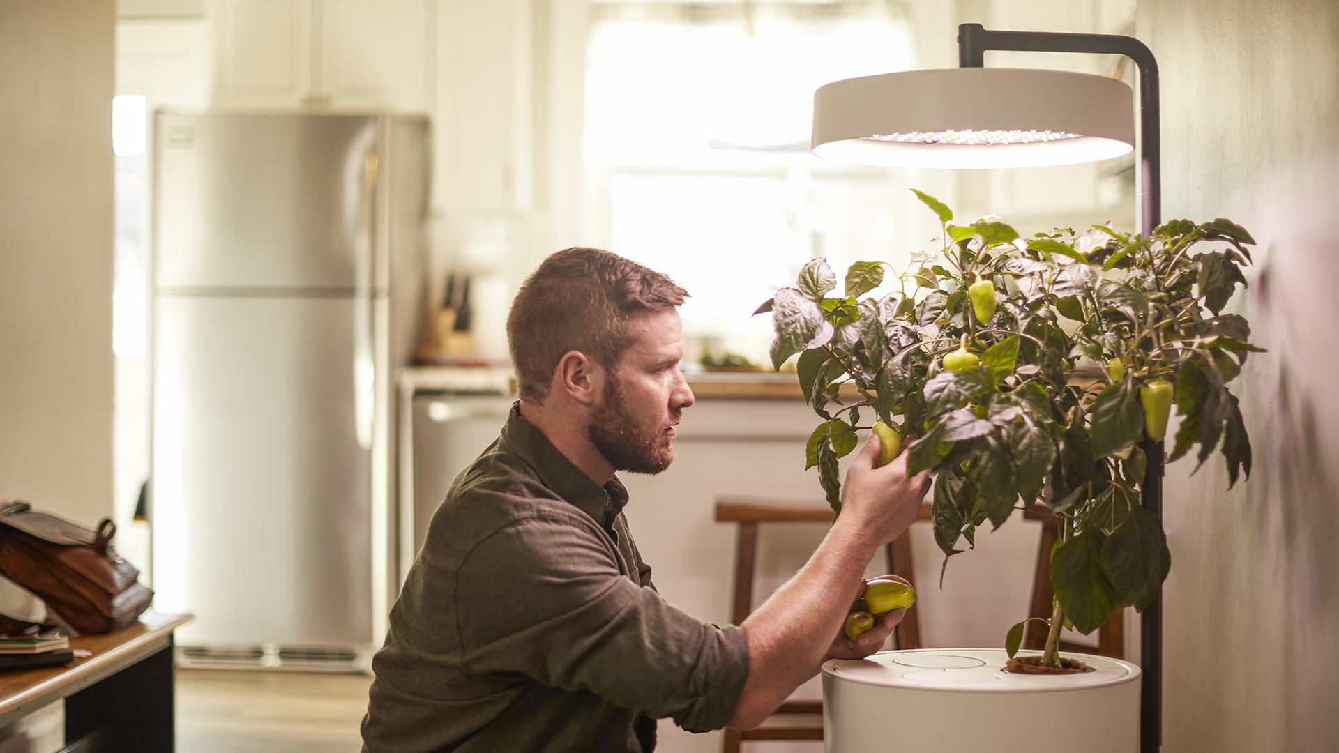 Scotts Miracle-Gro Indoor Grow System - Priority Designs